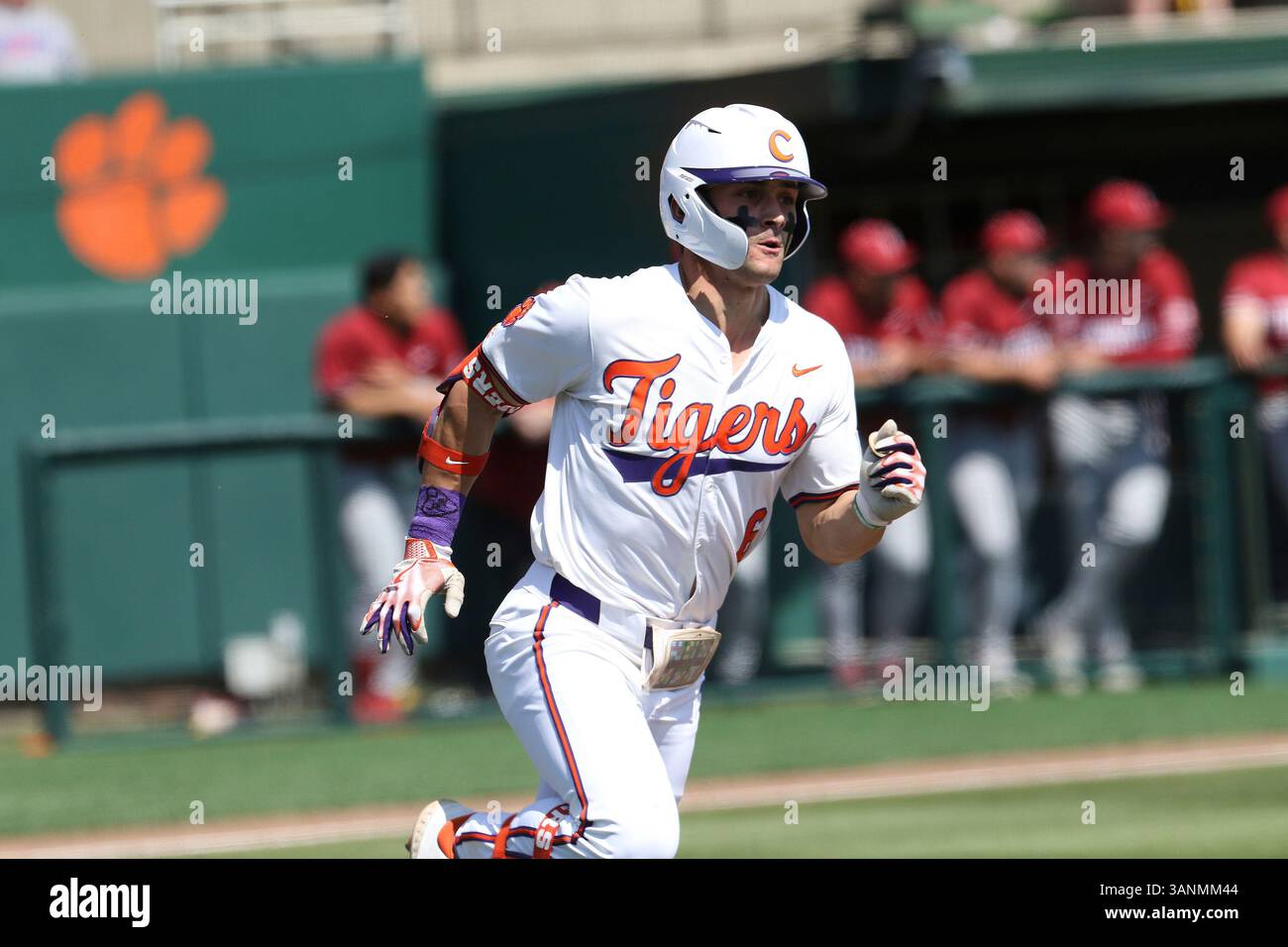 CLEMSON, SC - APRIL 13: Stanford Cardinal infield Jimmy Nati (6) during ...
