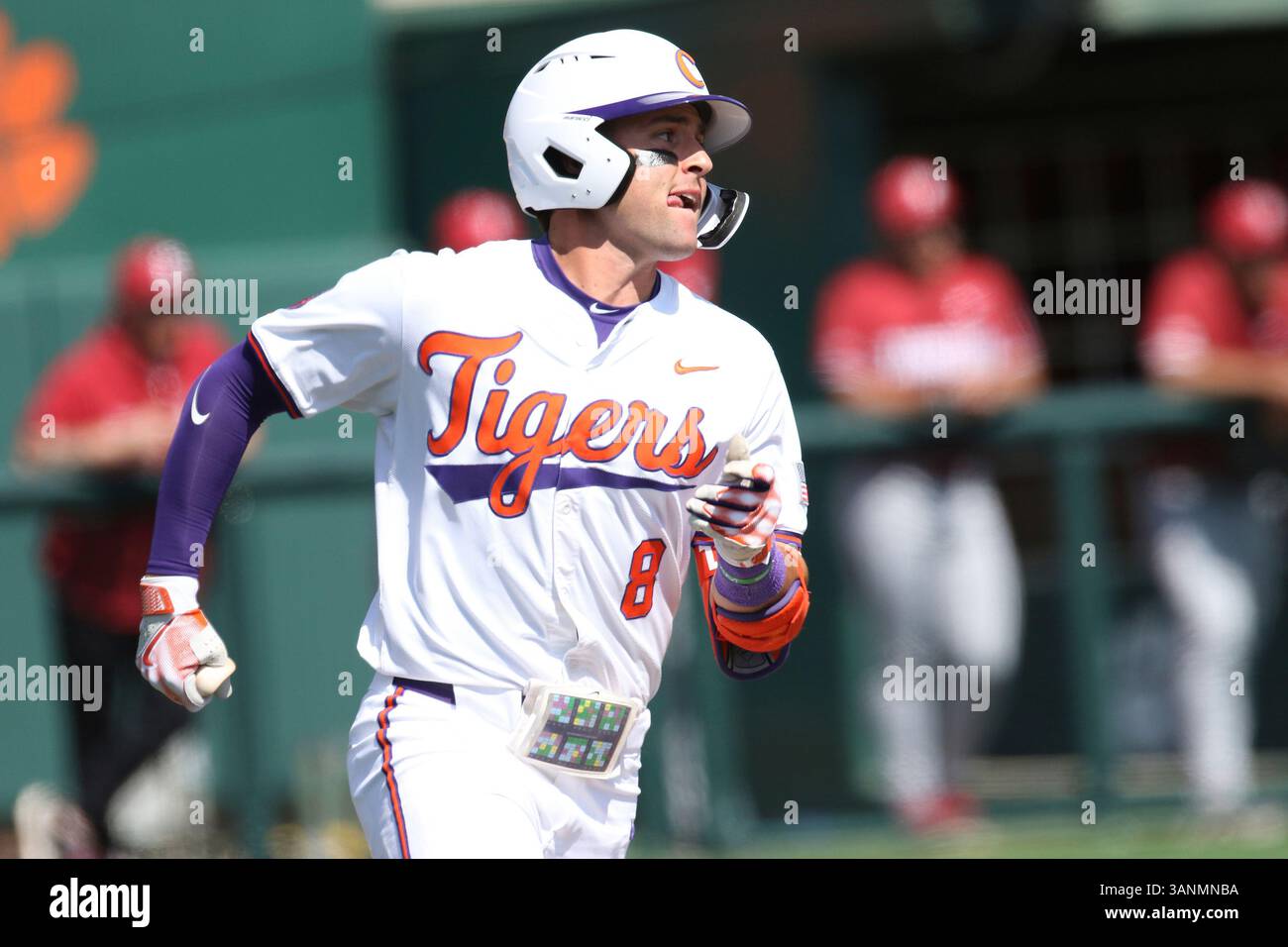 CLEMSON, SC - APRIL 13: Clemson Tigers infielder Josh Paino (8) during ...