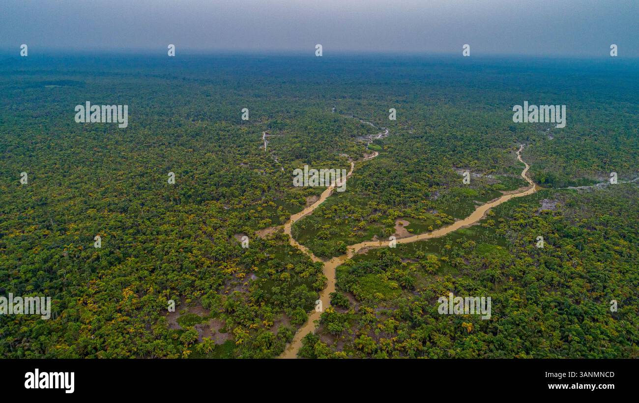 Aerial view of lush vegetation and winding paths around a tranquil lake ...