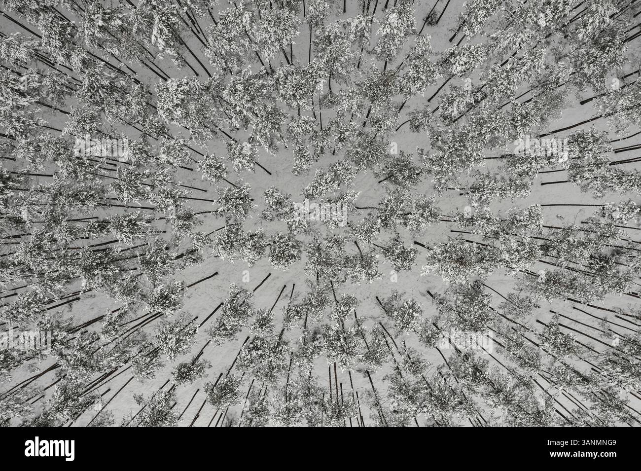 Drone aerial view untouched snowy hi-res stock photography and images ...