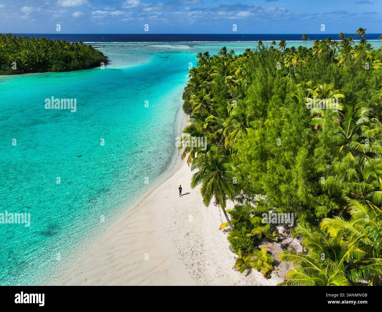 Aerial view of tropical beach with turquoise water and lush trees ...