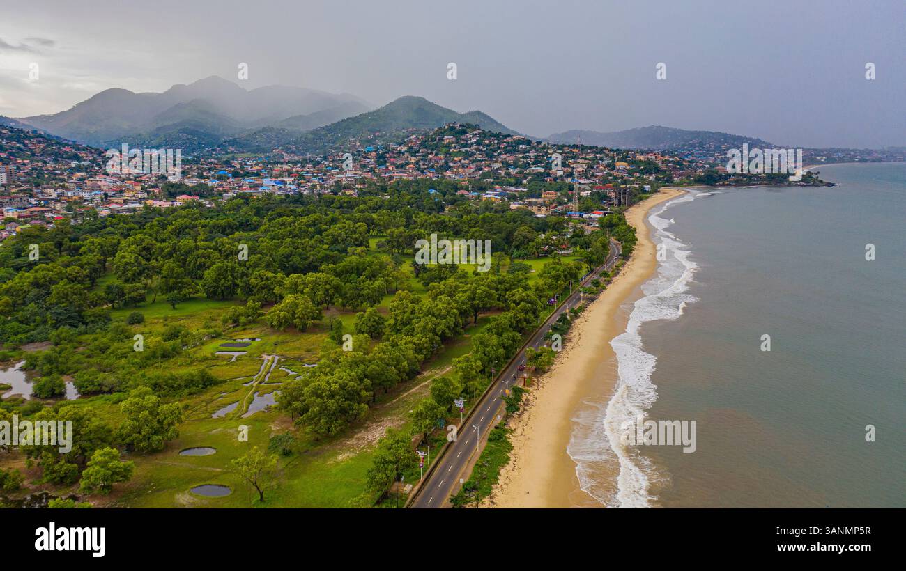 Aerial view of a beautiful sandy beach with tranquil waves and lush ...