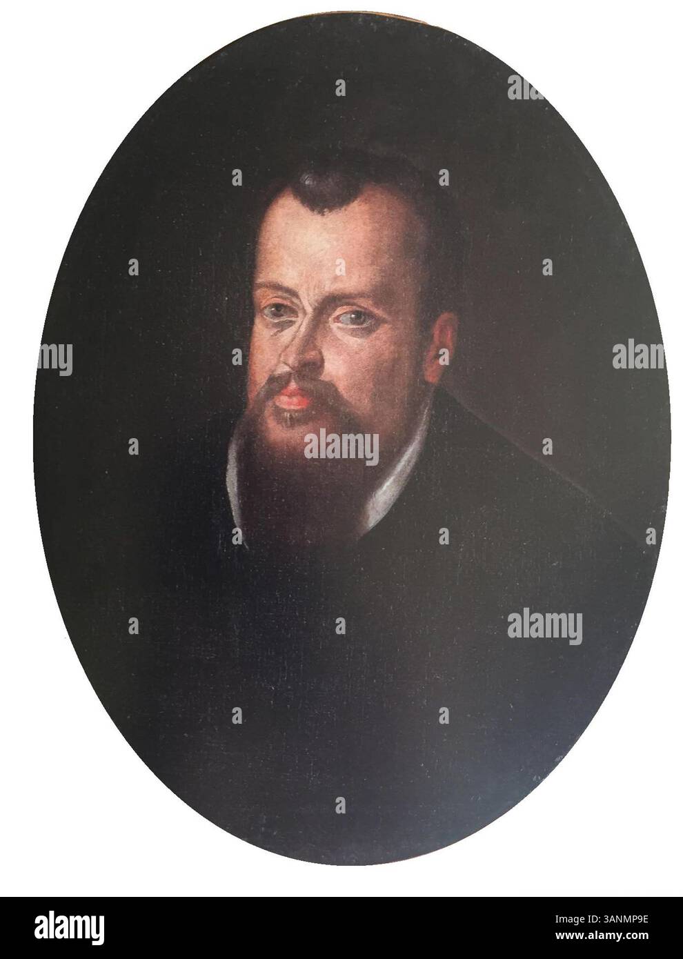 Portrait of Duke William Gonzaga, c. 1580. The painting features a ...