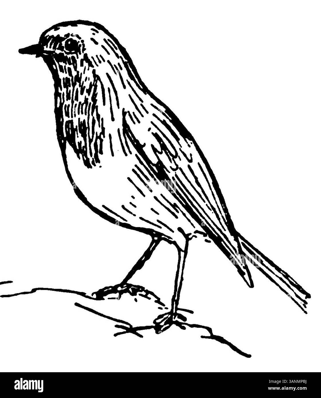 Image from page 080 of Eli Heimans' 1906 'Wandelen en Waarnemen ...