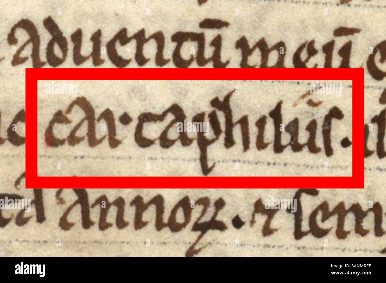 Matthew Paris's illustration in the 'Chronica Majora II' depicts ...