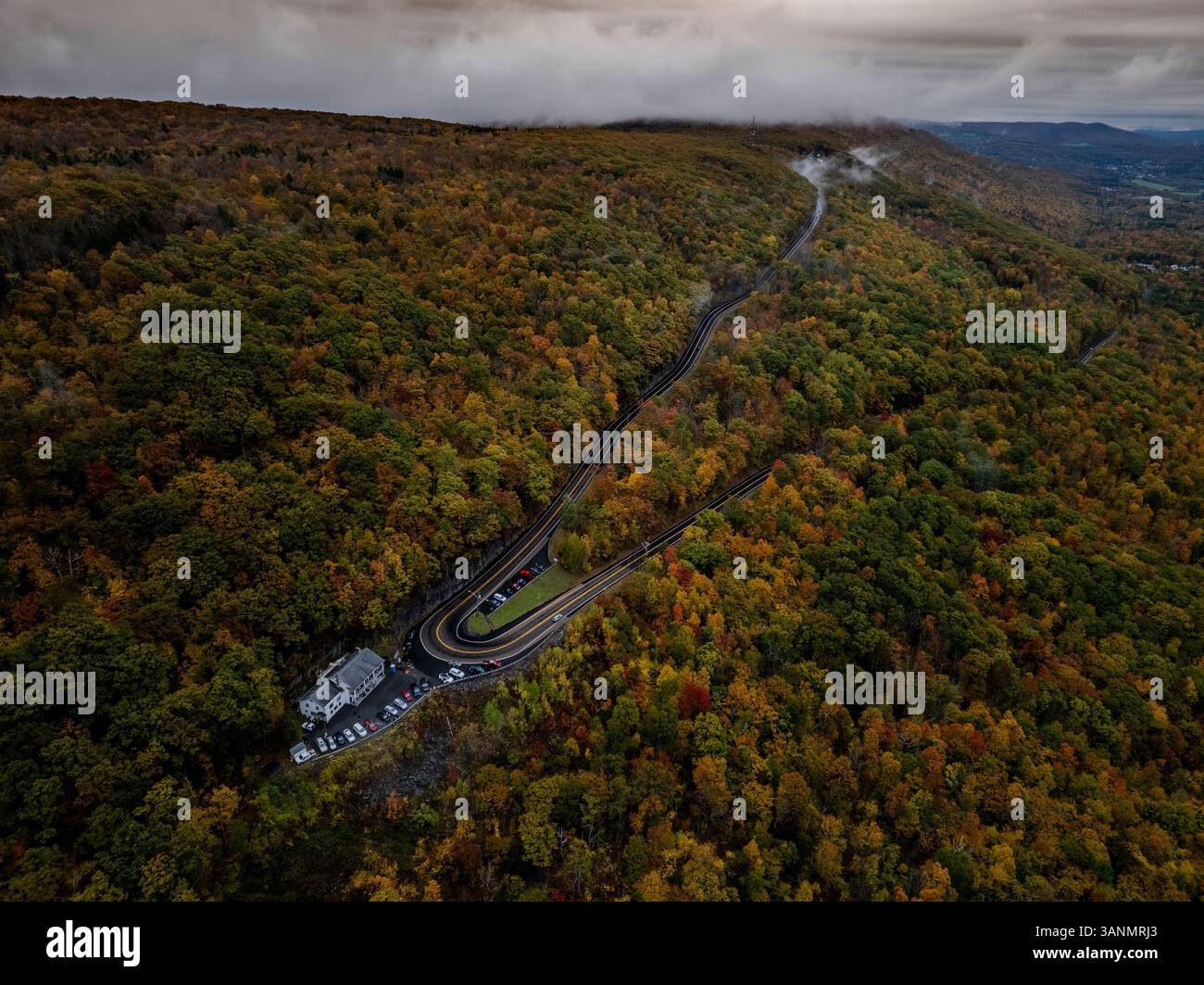 Aerial view of colorful autumn foliage and serene winding road through ...