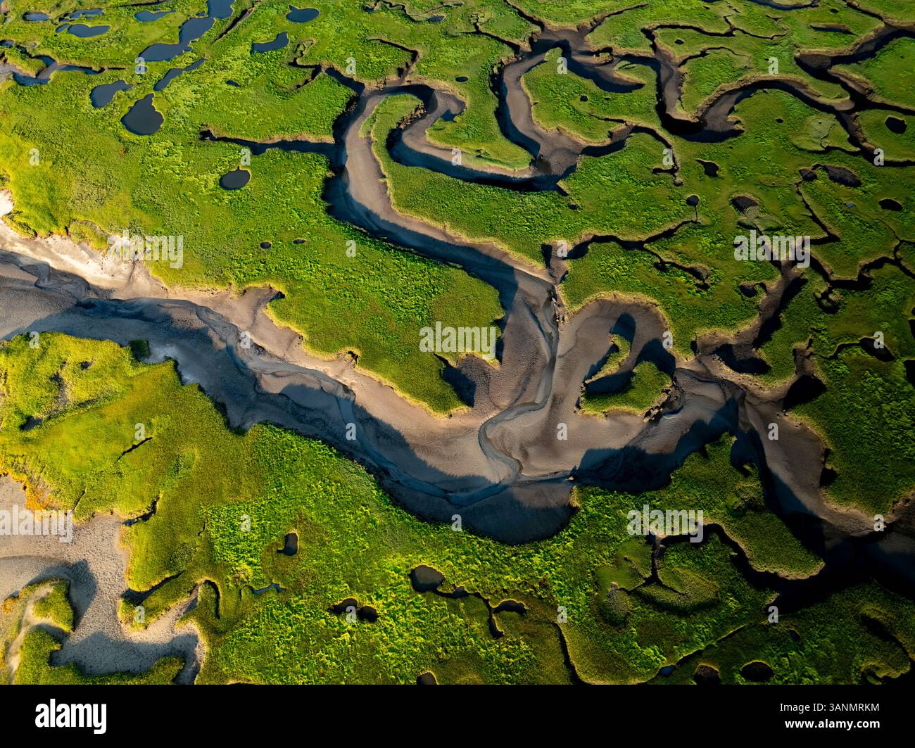 Aerial view of beautiful marsh with serpentine stream at low tide ...