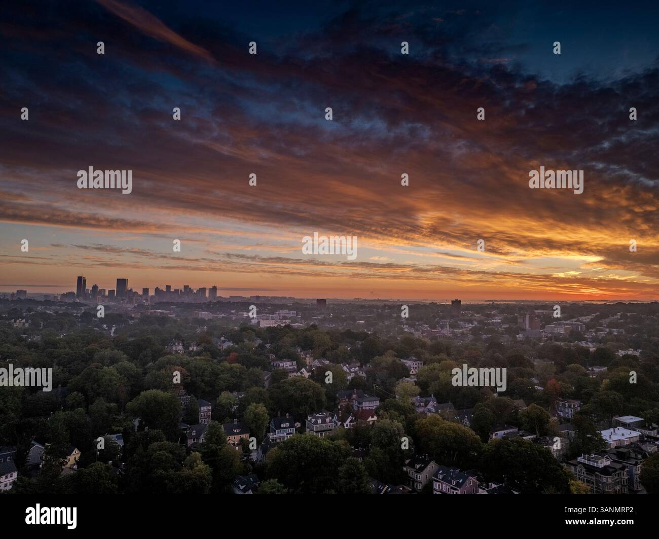 Aerial view of boston skyline at sunset with trees and homes under ...