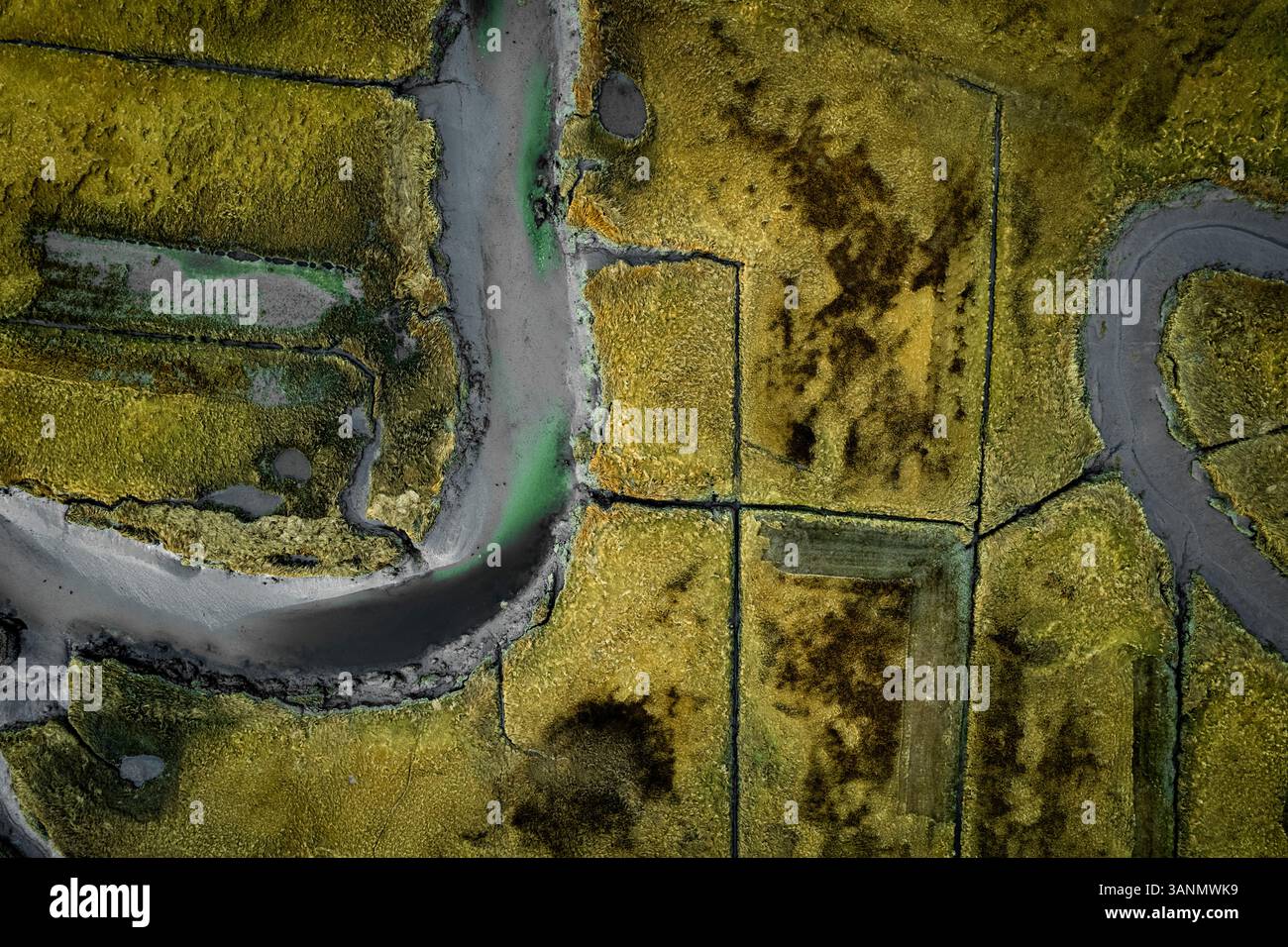 Aerial view of meandering river through marshland and wetlands, Ipswich ...