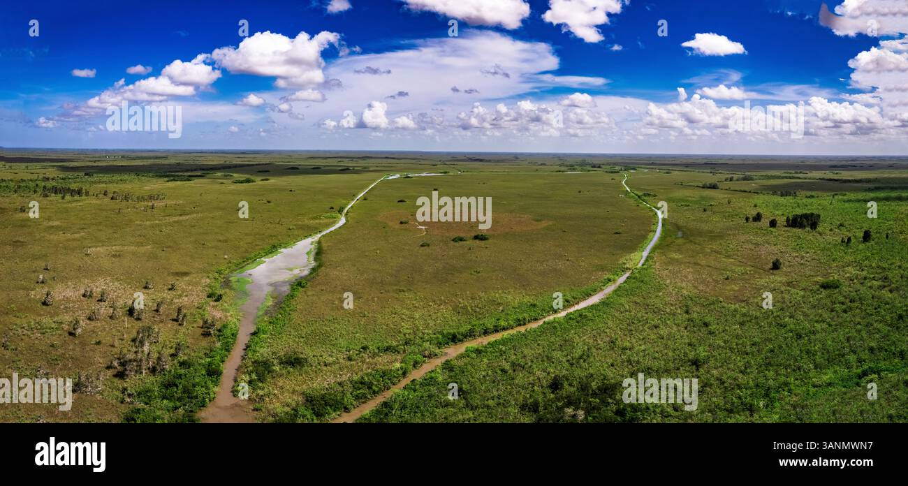 Aerial view of serene river winding through untouched wetlands ...