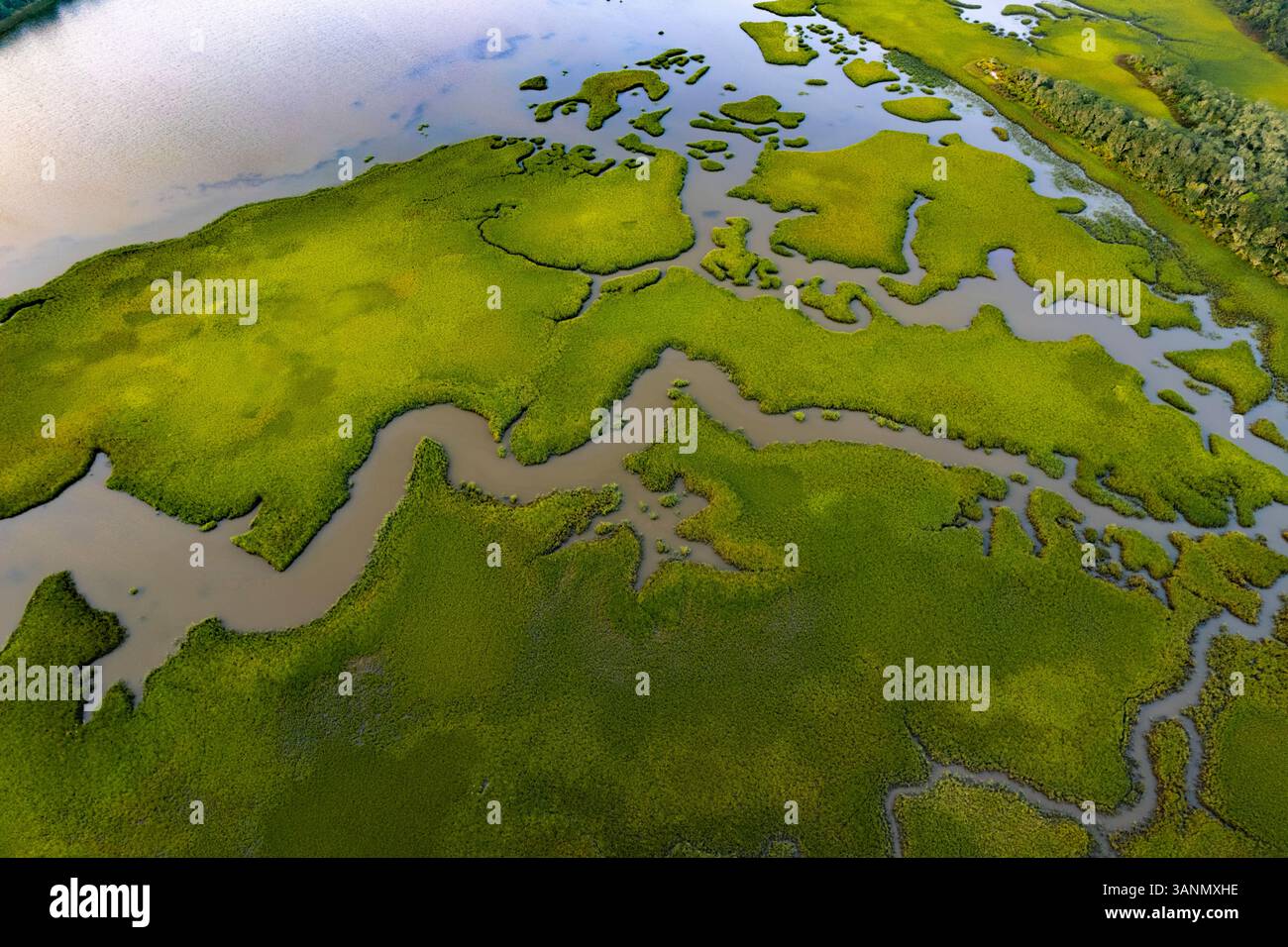 Aerial view of lush wetlands and meandering river at Guana River, South ...