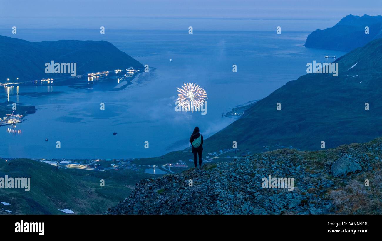 Aerial view of fireworks illuminating the sky above a tranquil bay with ...