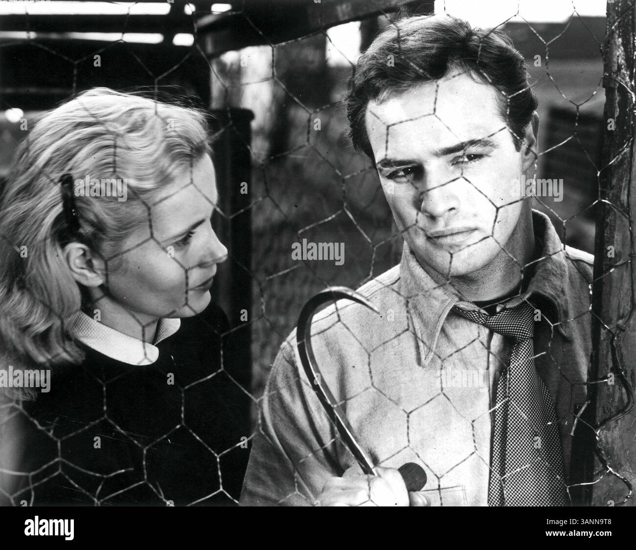 FILM TITLE: ON THE WATERFTONT. DIRECTOR: Elia Kazan. STUDIO: COLUMBIA ...