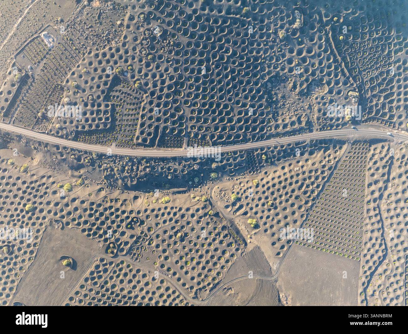 Aerial view of beautiful vineyard fields and winding roads in scenic ...