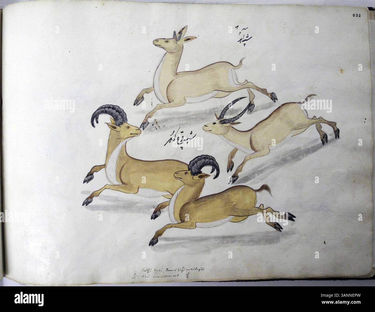 A drawing by Janí and Engelbert Kaempfer from 1684-1685 depicting two ...