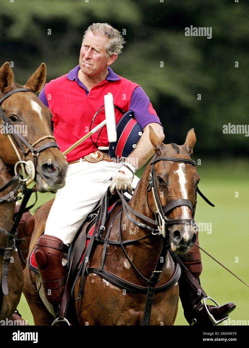 Exhibition match cirencester park polo club hi-res stock photography ...