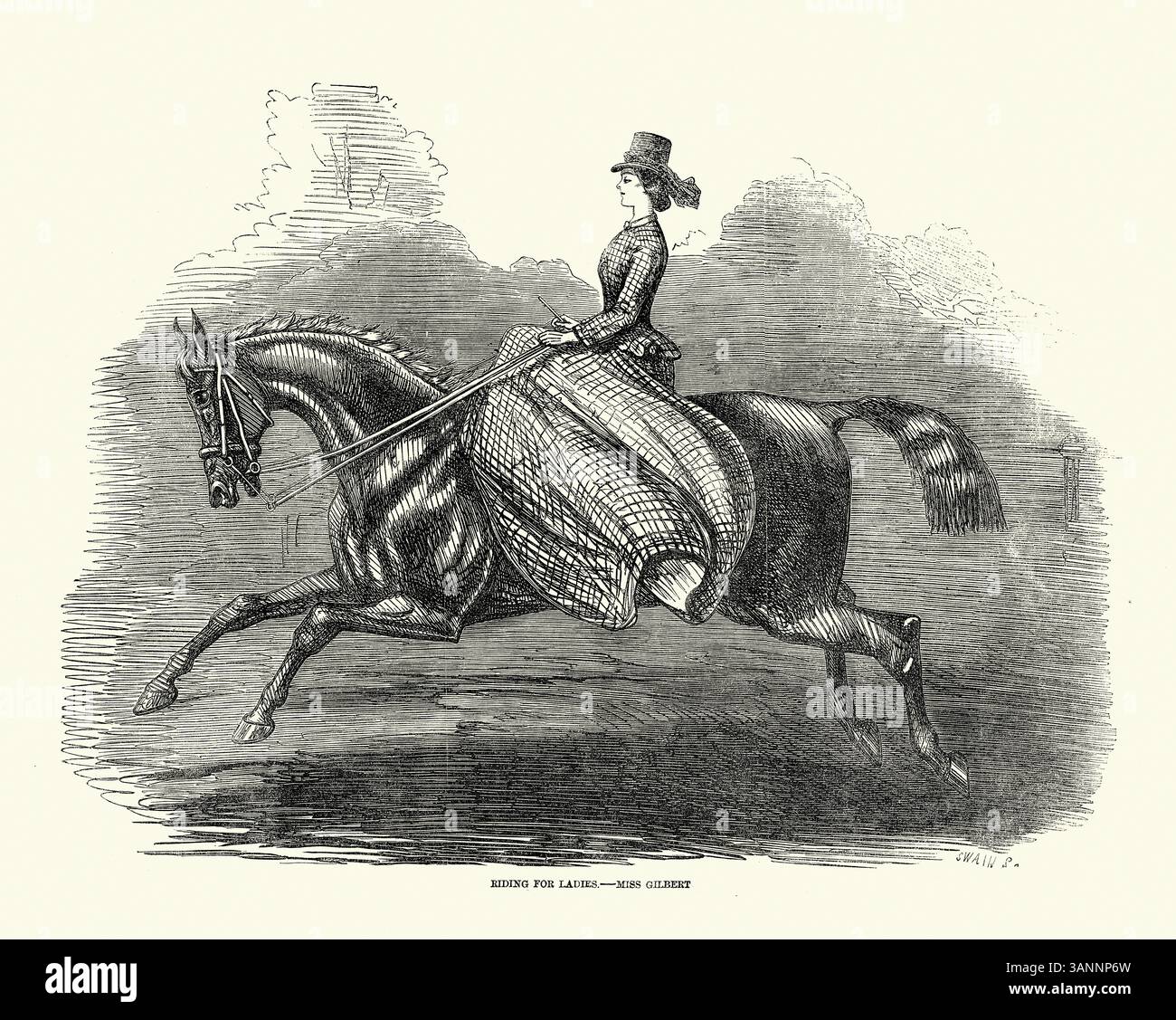 Sidesaddle saddle hi-res stock photography and images - Alamy