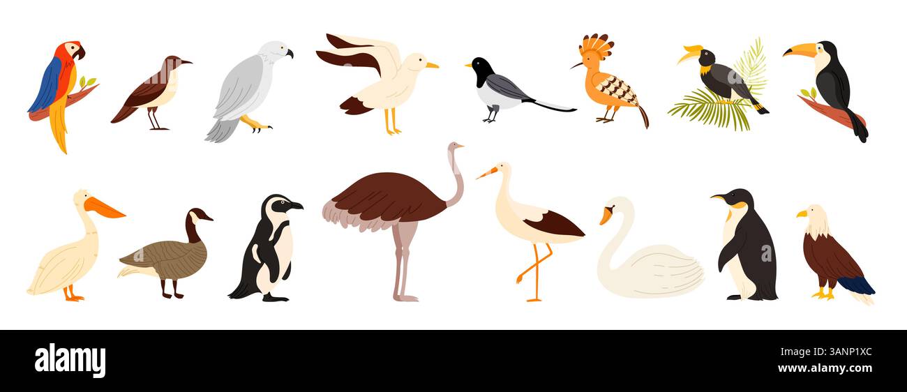 Different birds of world set. Natural forest jungle wildlife ...