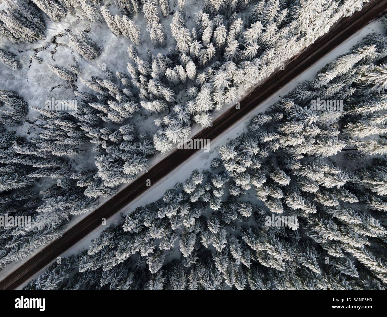 Aerial view of a road crossing the forest in wintertime, Oregon, United ...