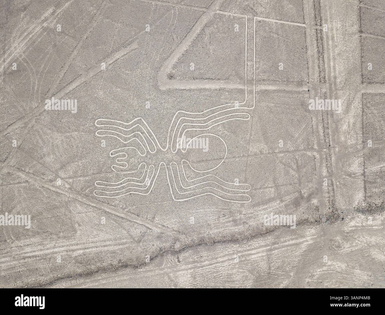 Aerial view of spider zoomorphic geoglyph in Nazca, Peru Stock Photo ...