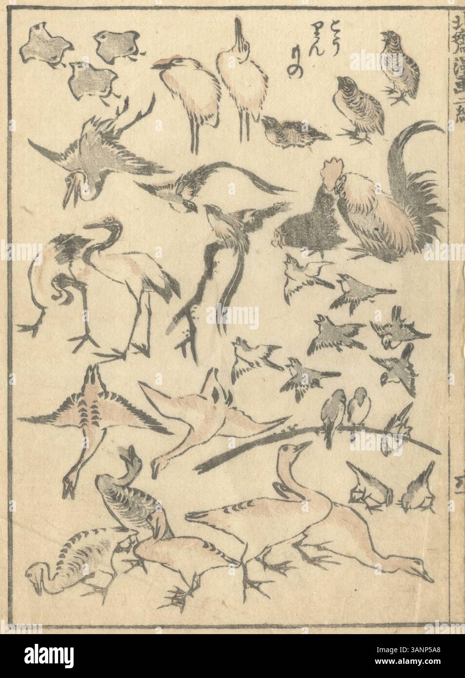 Katsushika Hokusai’s *Bird page from The Manga* shows a detailed and ...