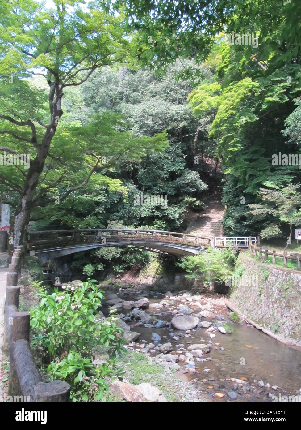 A peaceful waterway crossing with a bridge, surrounded by the lush ...