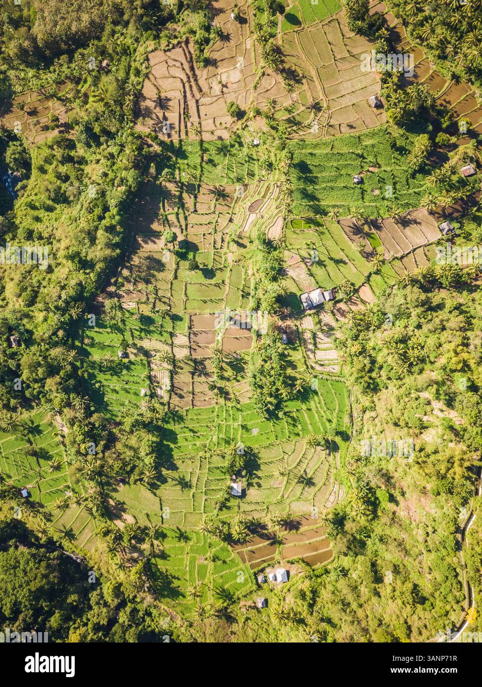 Aerial view of rice terrace on Pulau Lombok island in Indonesia Stock ...