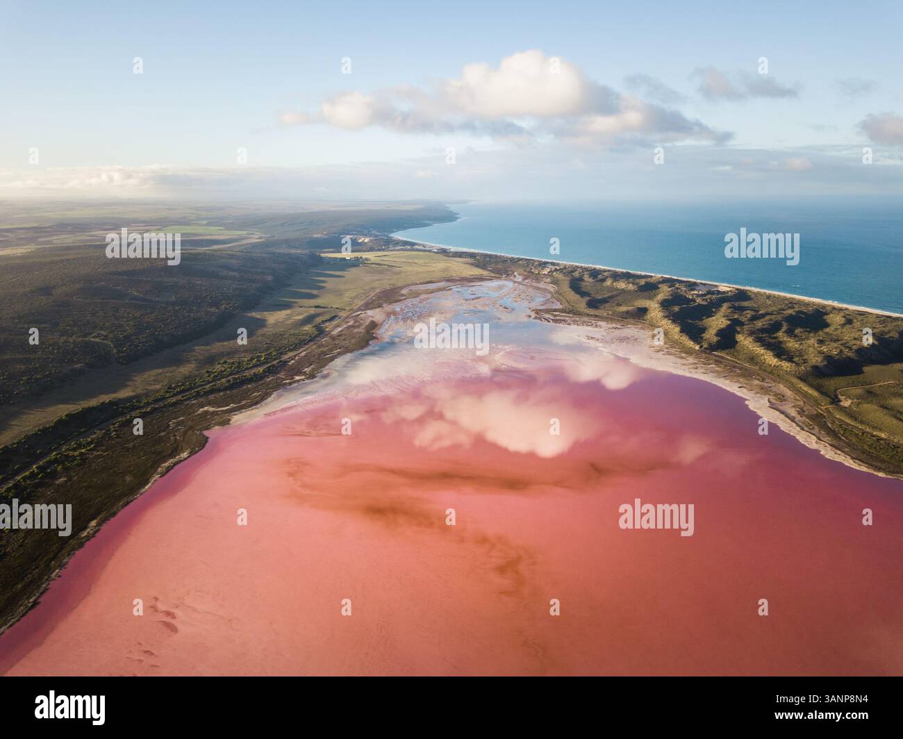 Aerial view of Hutt Lagoon pink salt bed lake in Yallabatharra ...