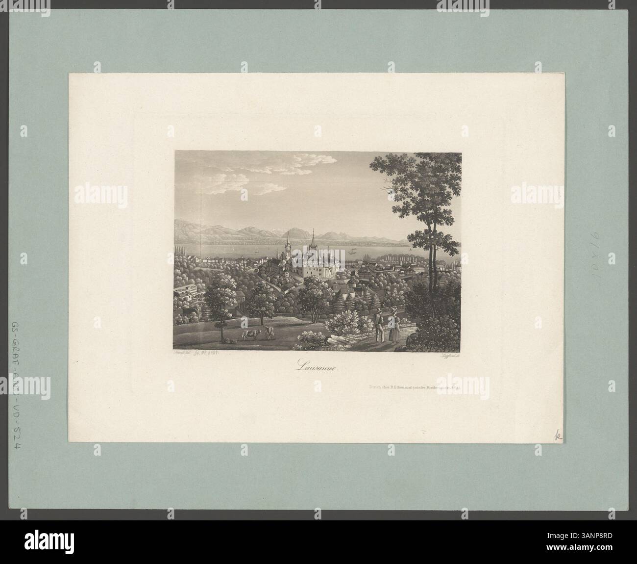 This aquatint print by Franz Schmid, published by R. Dikenmann in ...