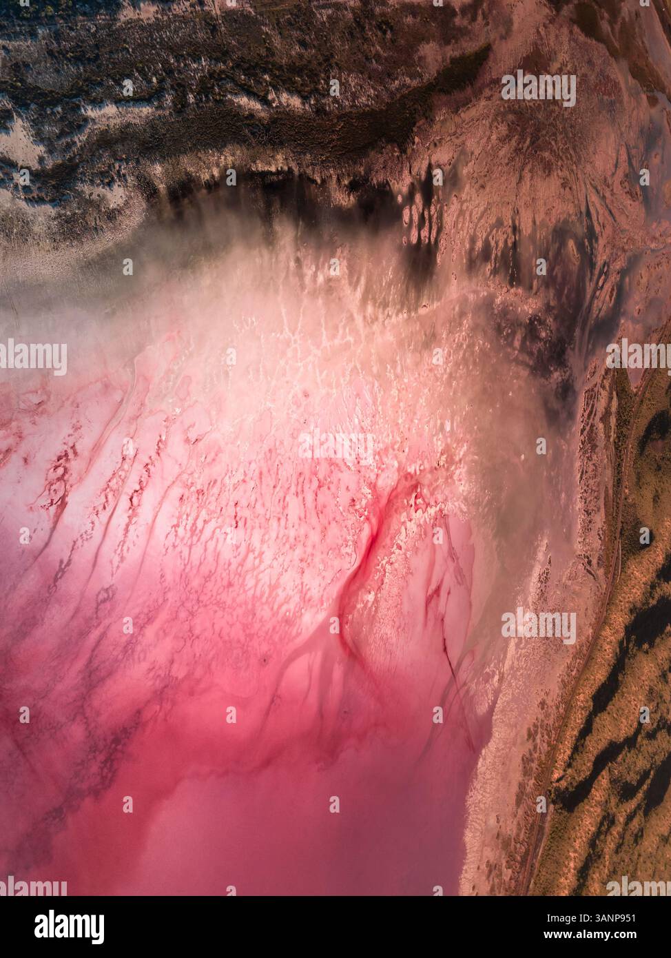 Aerial view of Hutt Lagoon pink salt bed lake in Yallabatharra ...