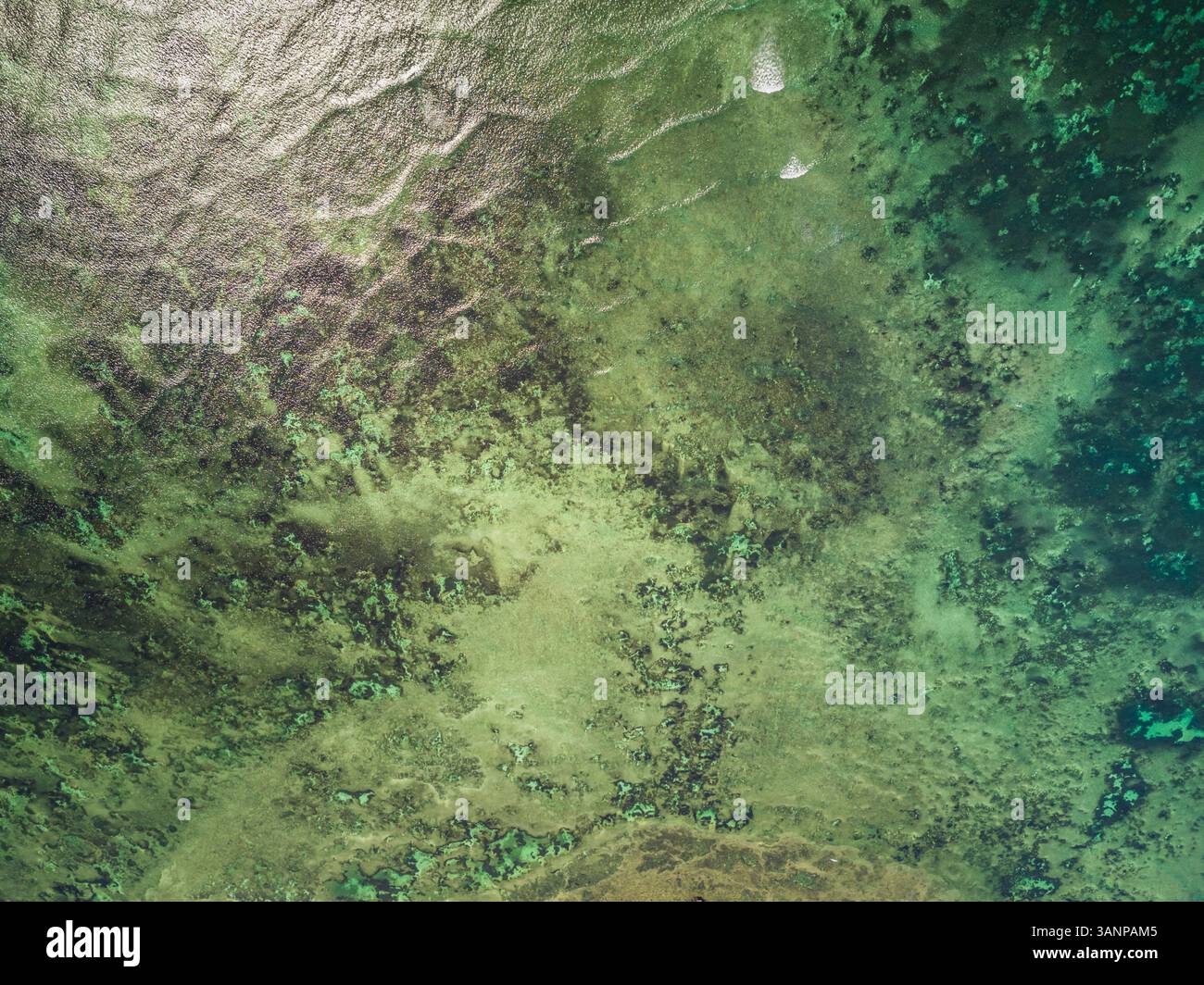 Aerial view of the paradisiac blue sea on Mafia Island, Tanzania Stock ...