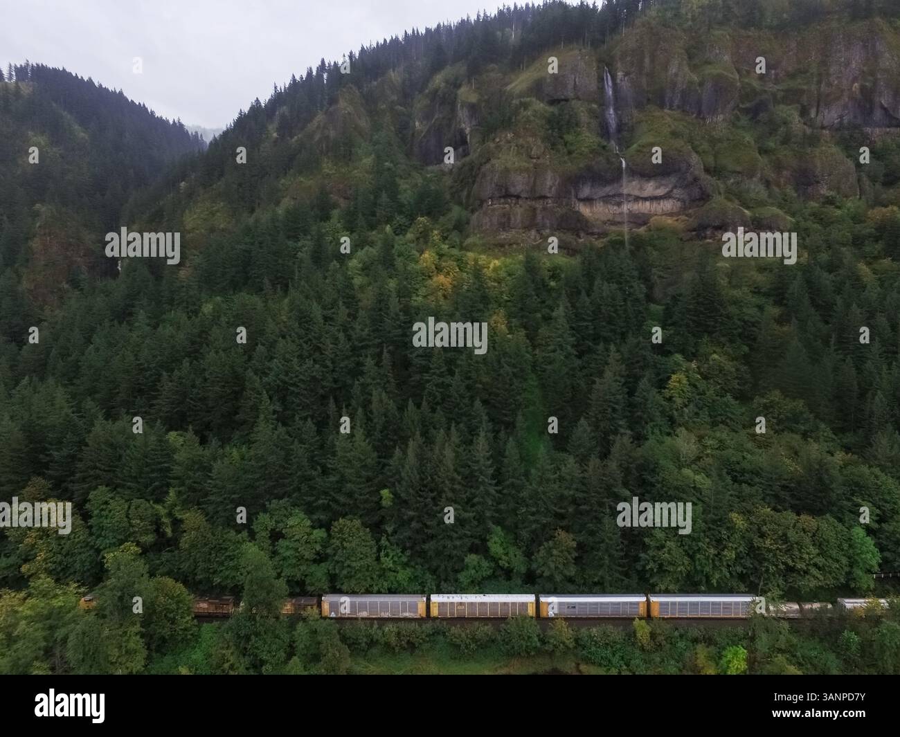 Train in fog top hi-res stock photography and images - Alamy
