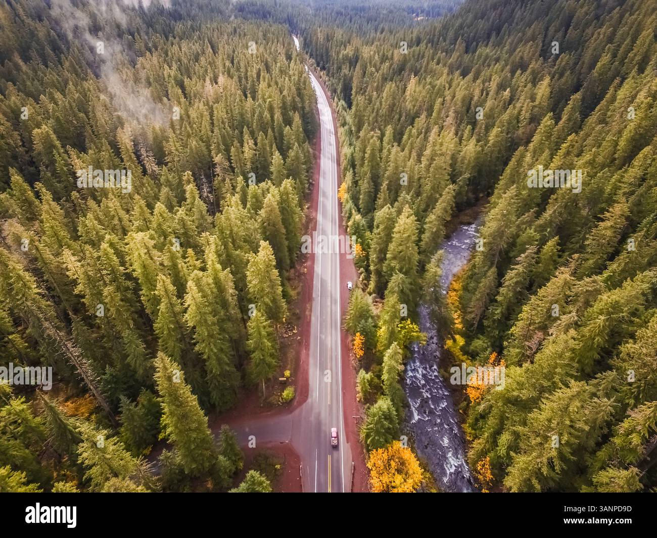 Aerial view of a road crossing the forest in Oregon, USA Stock Photo ...