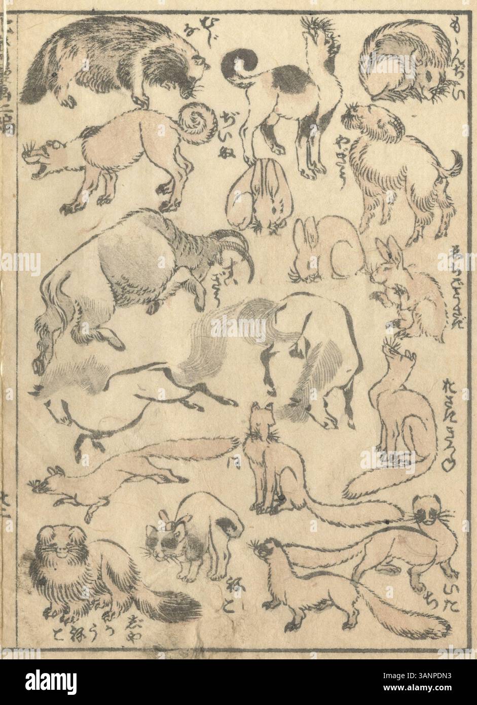 An animal illustration from Katsushika Hokusai's 'The Manga,' a ...