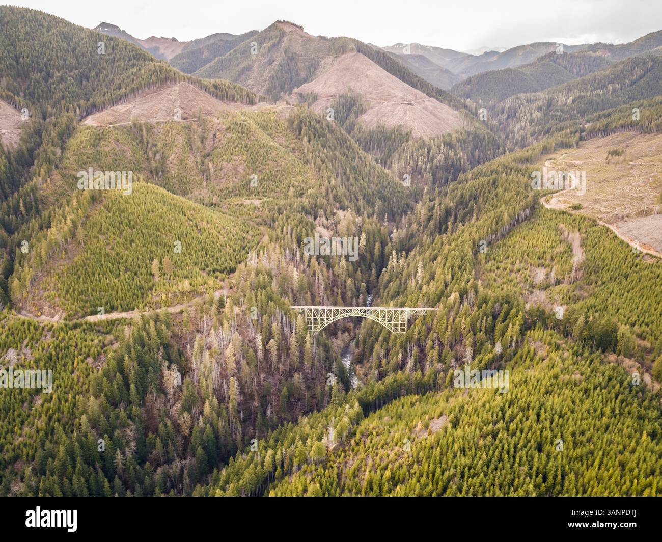 Aerial view of Vance Creek Bridge in Shelton, Washington, USA Stock ...