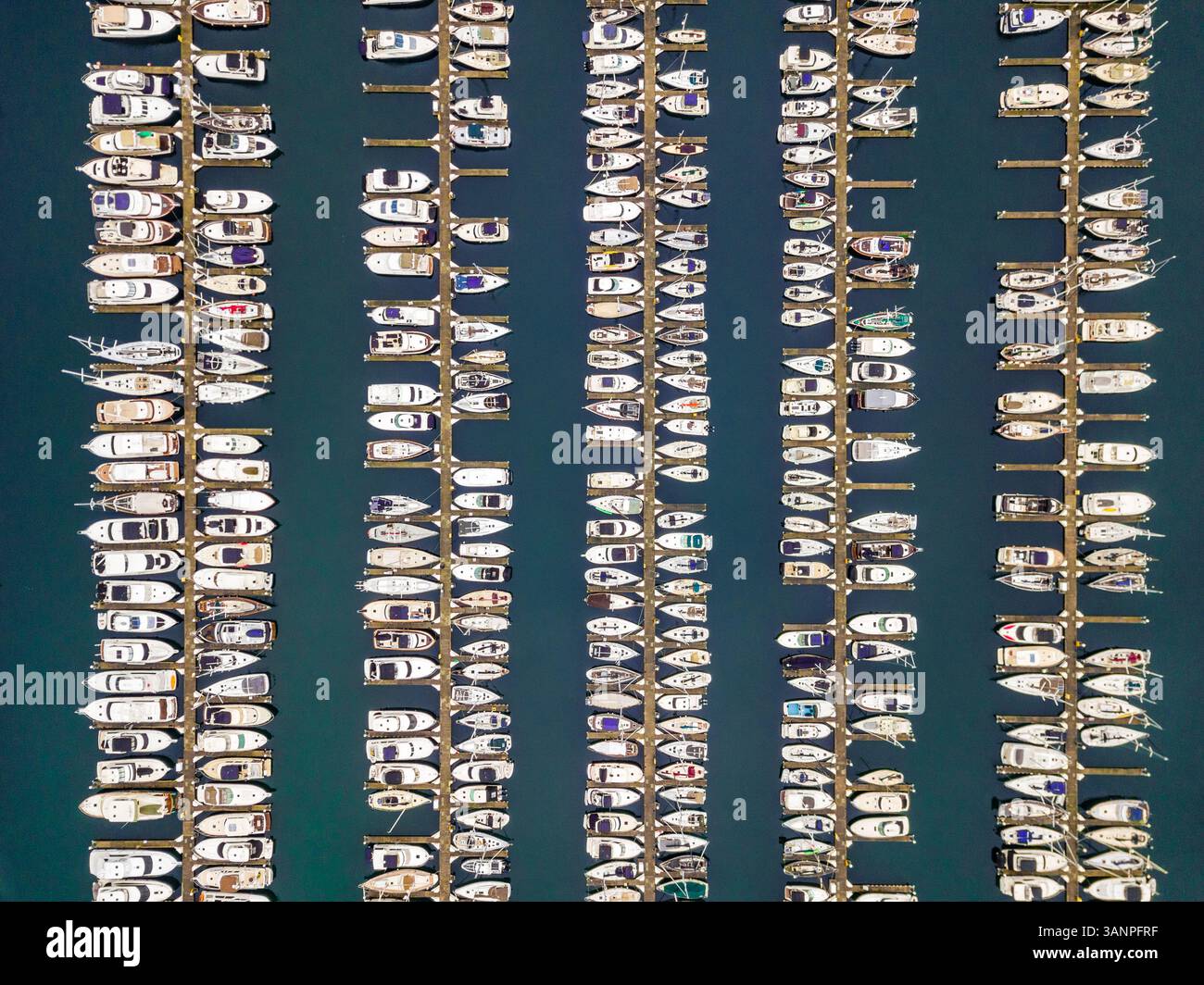 Aerial close up view of boats in Smith Cove, Elliot Bay in Seattle, USA ...