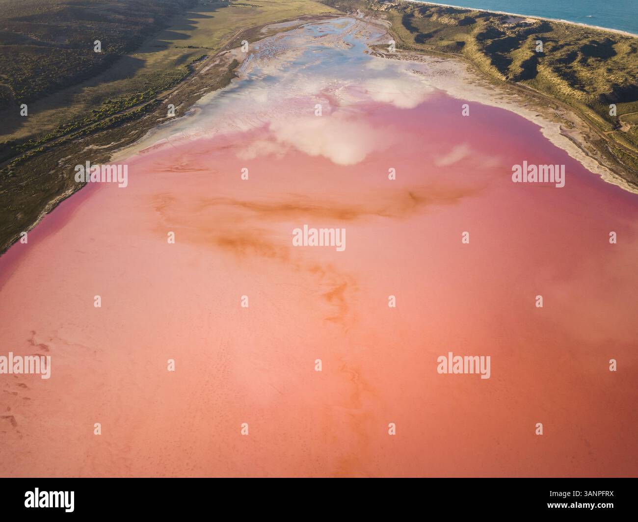 Aerial view of Hutt Lagoon pink salt bed lake in Yallabatharra ...