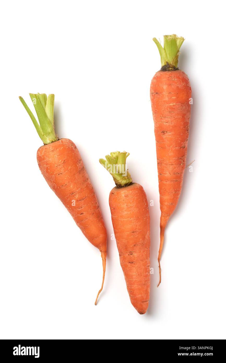 close-up of three raw orange carrots isolated white background, freshly ...