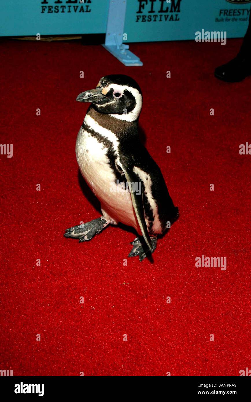 June 18, 2005 - MARCH OF THE PENGUINS PREIMERE.JOHN ANSON FORD ...