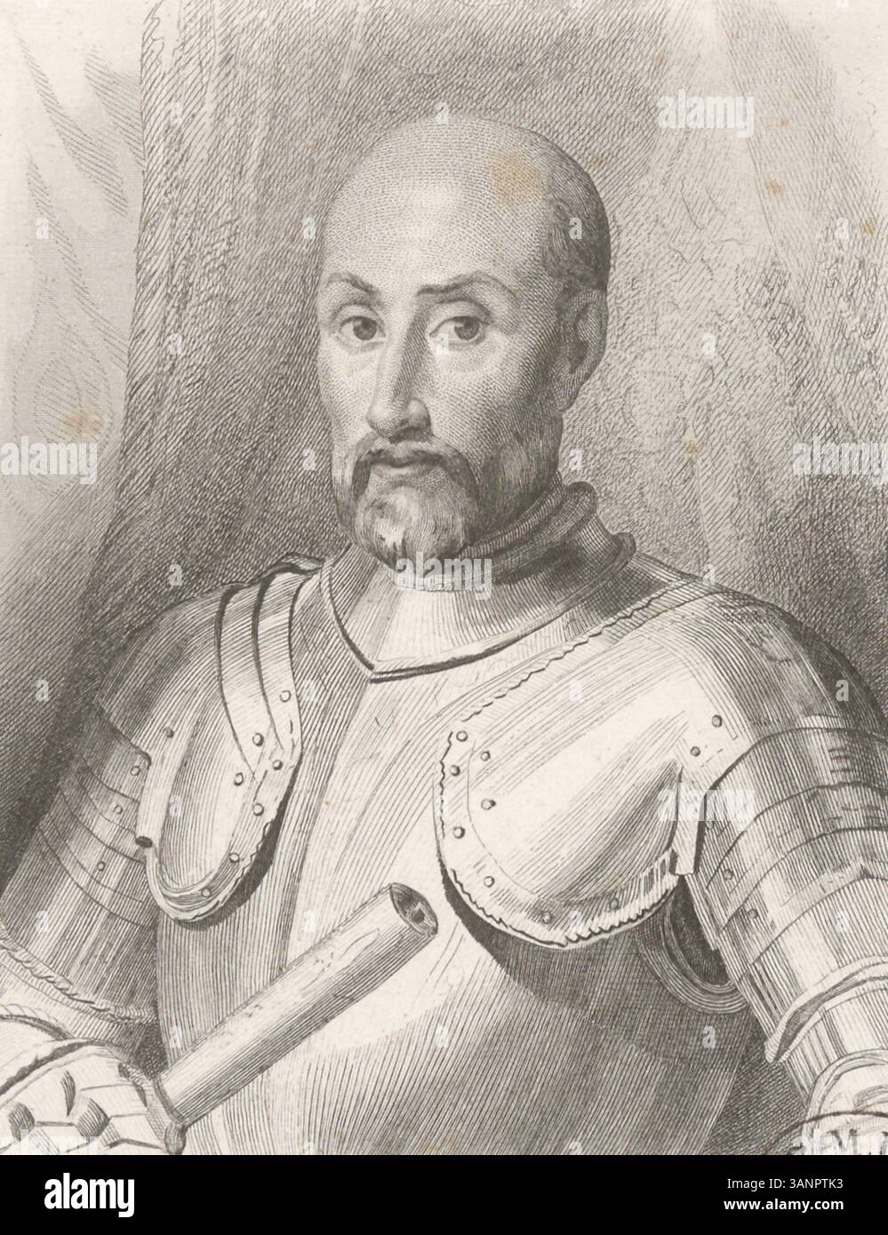 The cropped portrait of Prince de La Roche displays a detailed ...