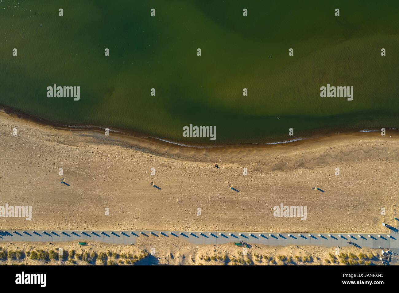 Aerial view of the beach and Lake Michigan shoreline at Indiana Dunes ...