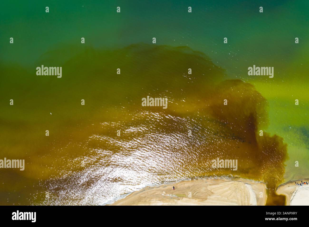 Aerial view of the beach and Lake Michigan shoreline at Indiana Dunes ...