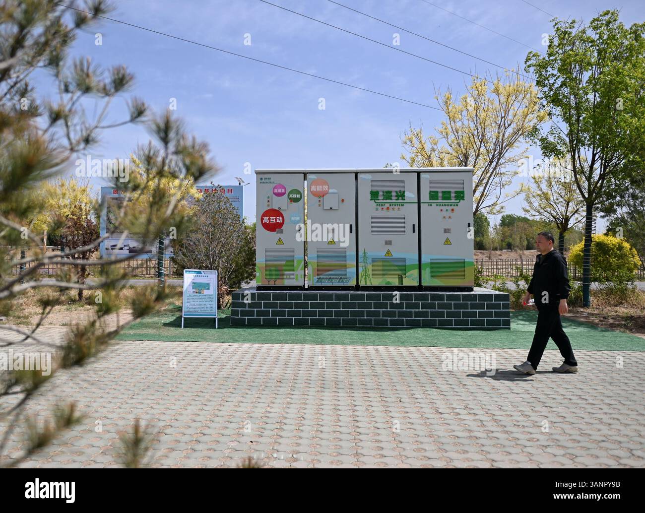(250415) -- XIONG'AN, April 15, 2025 (Xinhua) -- A man walks past a ...