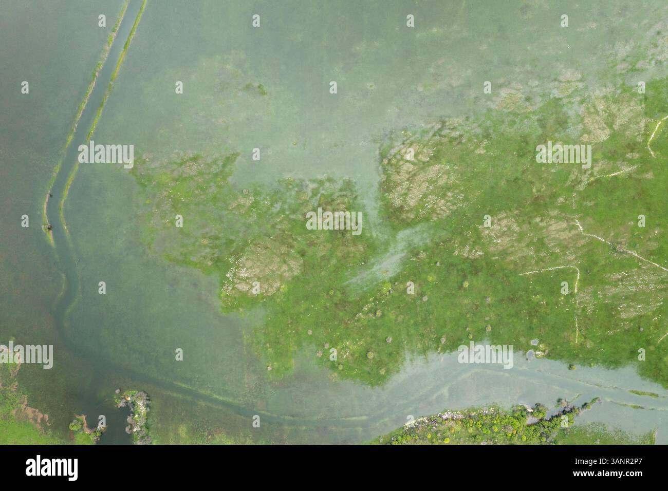 Aerial view of natural reserve with unreal forms and transparent water ...