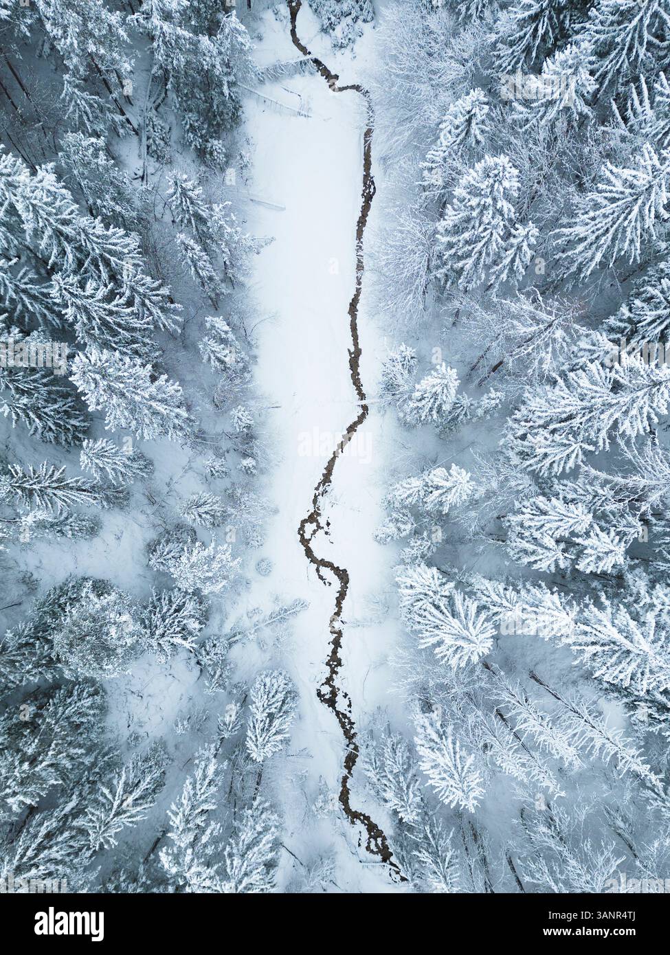 Aerial view of frozen winter landscape in Zelenci natural reserve, Log ...