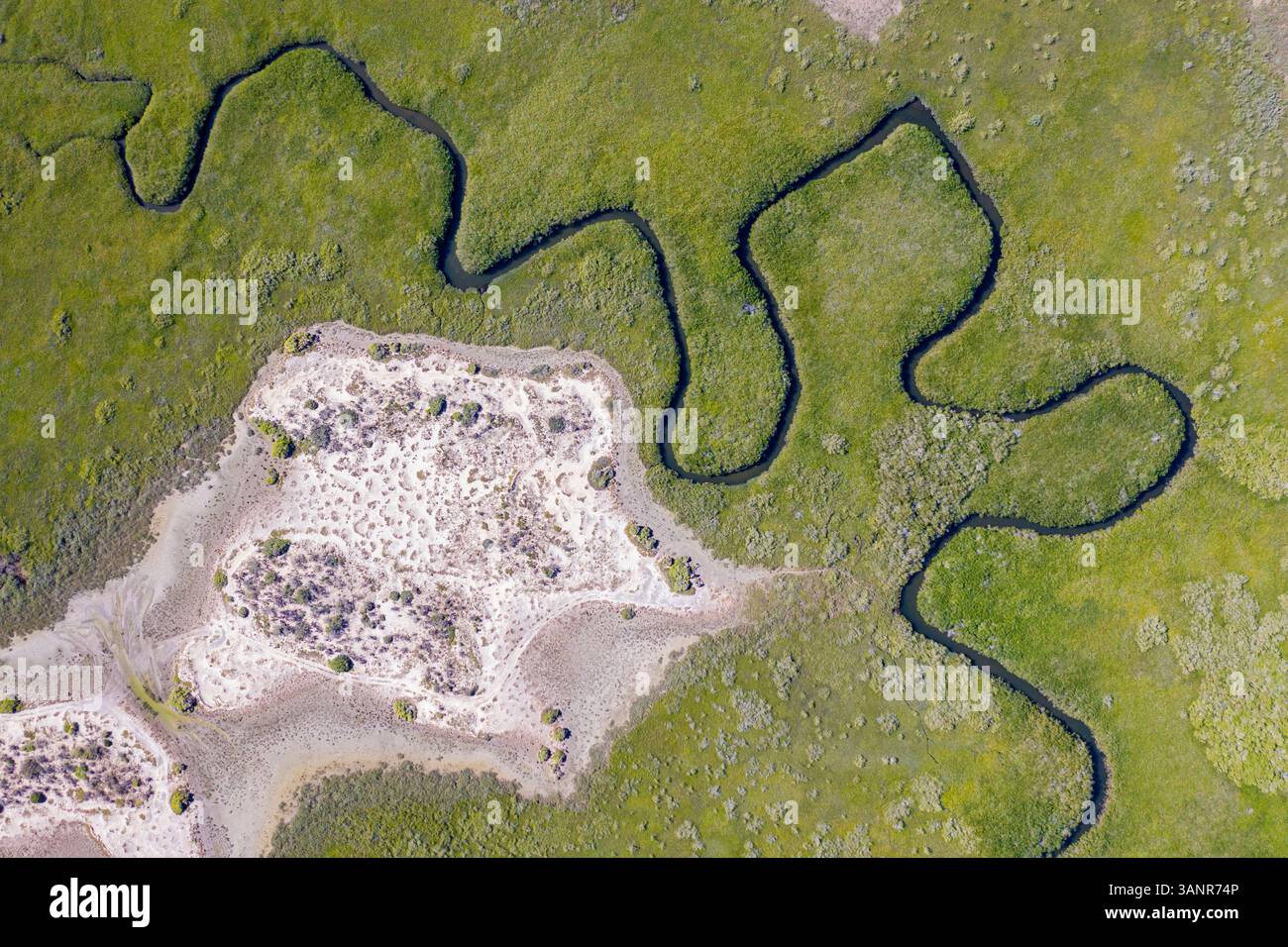 Aerial view of beautiful mangroves and serpentine river in wetlands ...