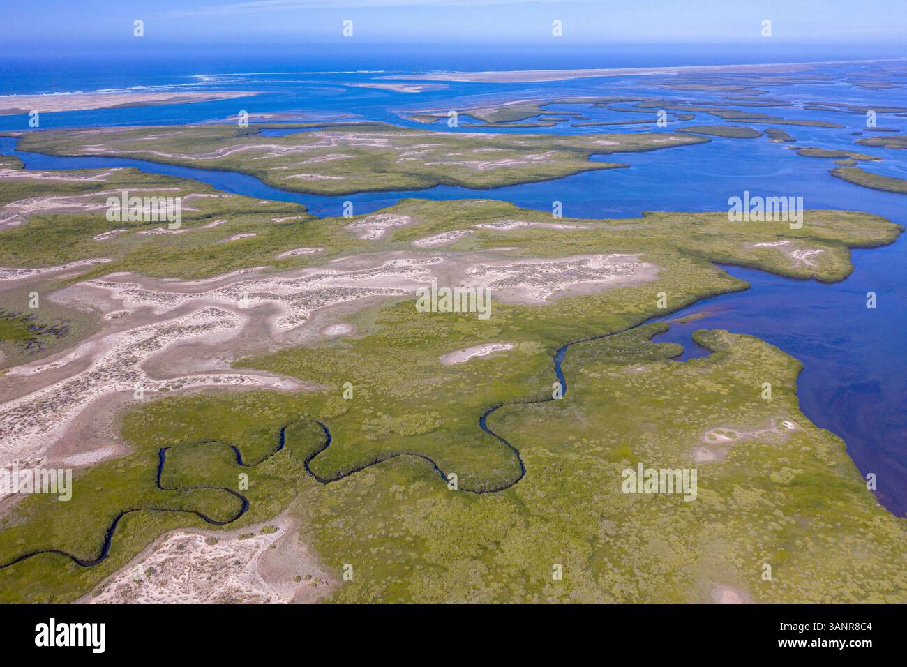 Aerial view of serene mangroves and pristine wetlands along the ...