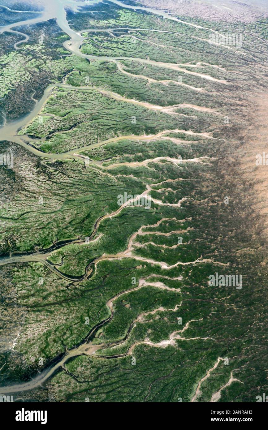 Aerial view of beautiful wetlands and unusual tidal patterns in the ...