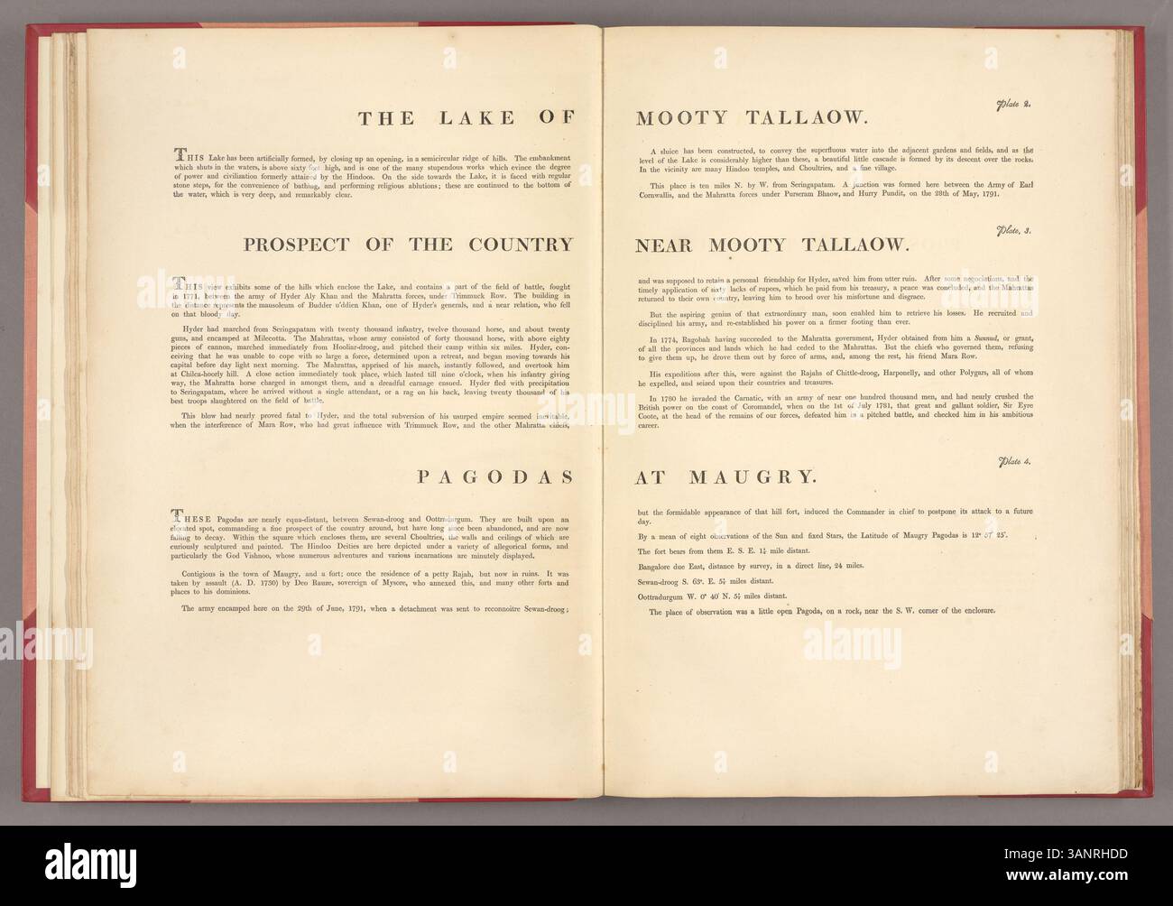 Image Courtesy YCBA Stock Photo - Alamy