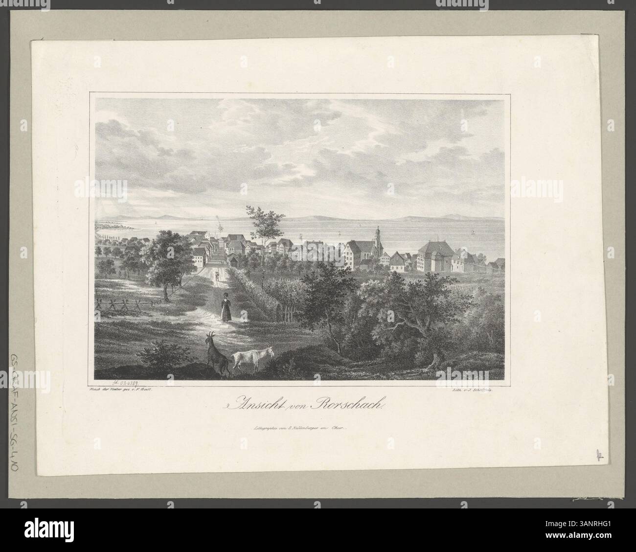 Lithograph print from the 19th century showing a view of Rorschach ...